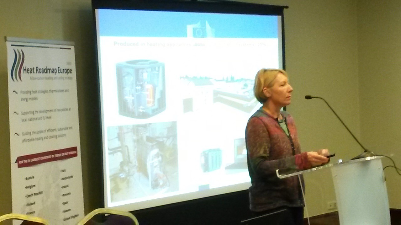 Heat Roadmap Europe 4 Workshop & Pan-European Thermal Atlas (Peta4 ...